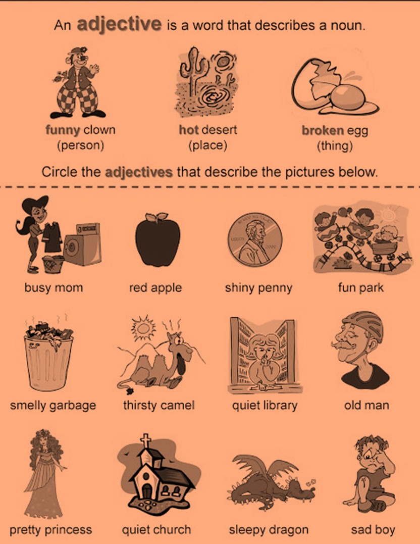 English Grammar Adjectives English Grammar Worksheet For Class 3 English Grammar Adjectives English Grammar Worksheet For Class 3