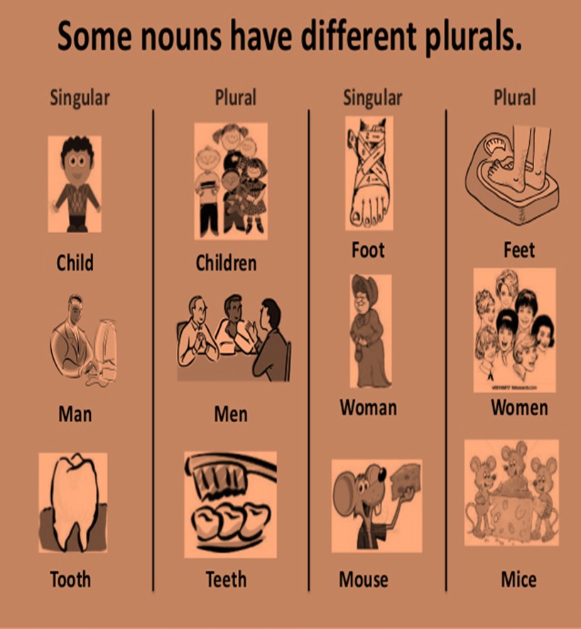 Class 3 Singular Plural And One Word Substitution English Square